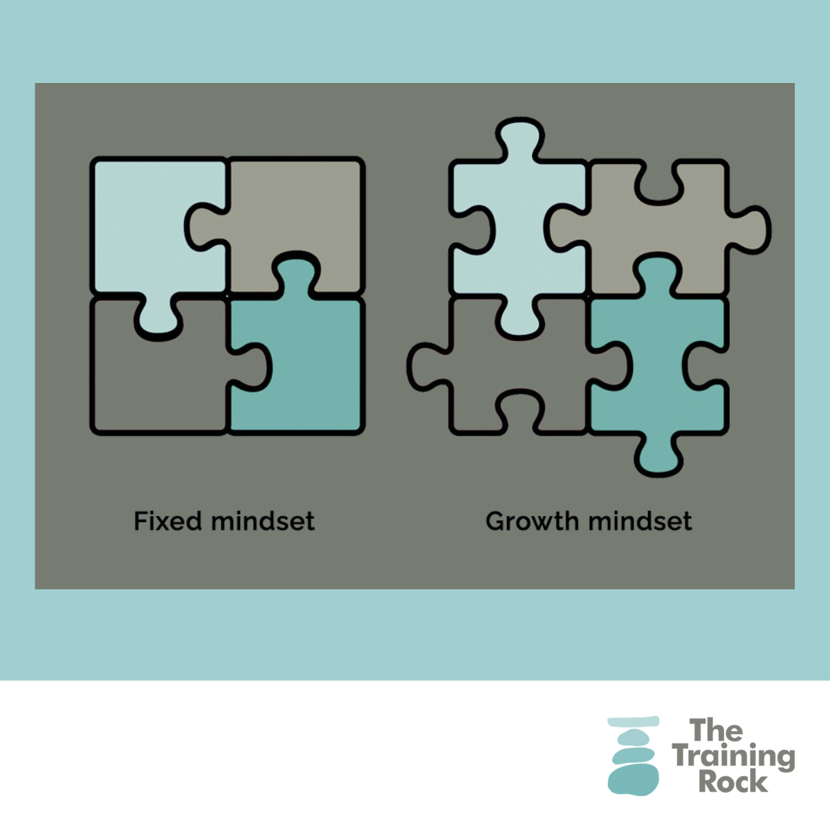 Growth or fixed? – The Training Rock